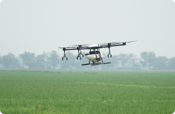 Bussiness Spraying - Agriculture Drone Services Company