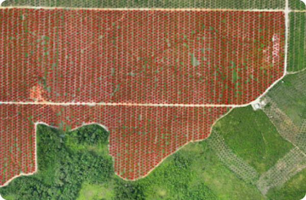 Bussiness Mapping - Agriculture Drone Services Company
