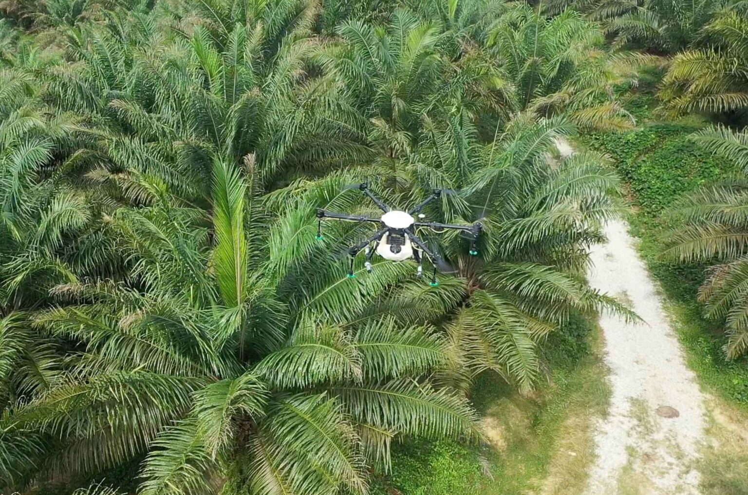 Terra Agri's Crop Spraying Drones for Pest Control: Good Choice - Terra ...