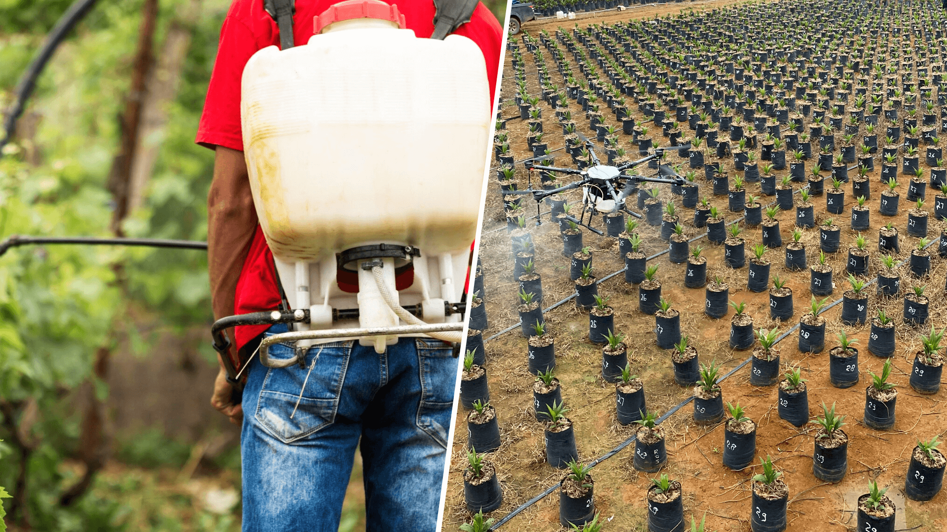 Traditional and Modern Farming: What You Need to Know - Terra Drone Agri