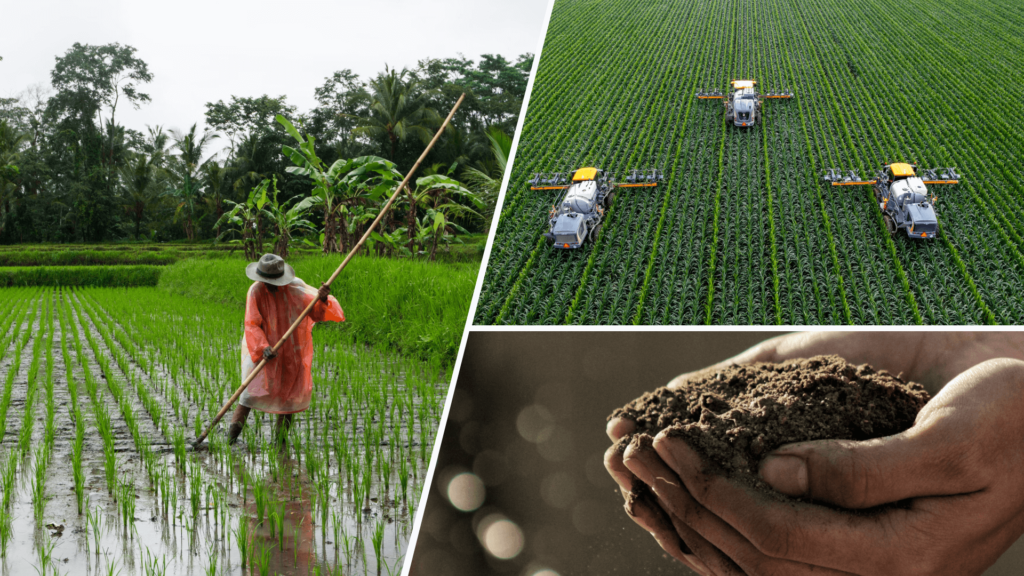 Traditional and Modern Farming: What You Need to Know - Terra Drone Agri