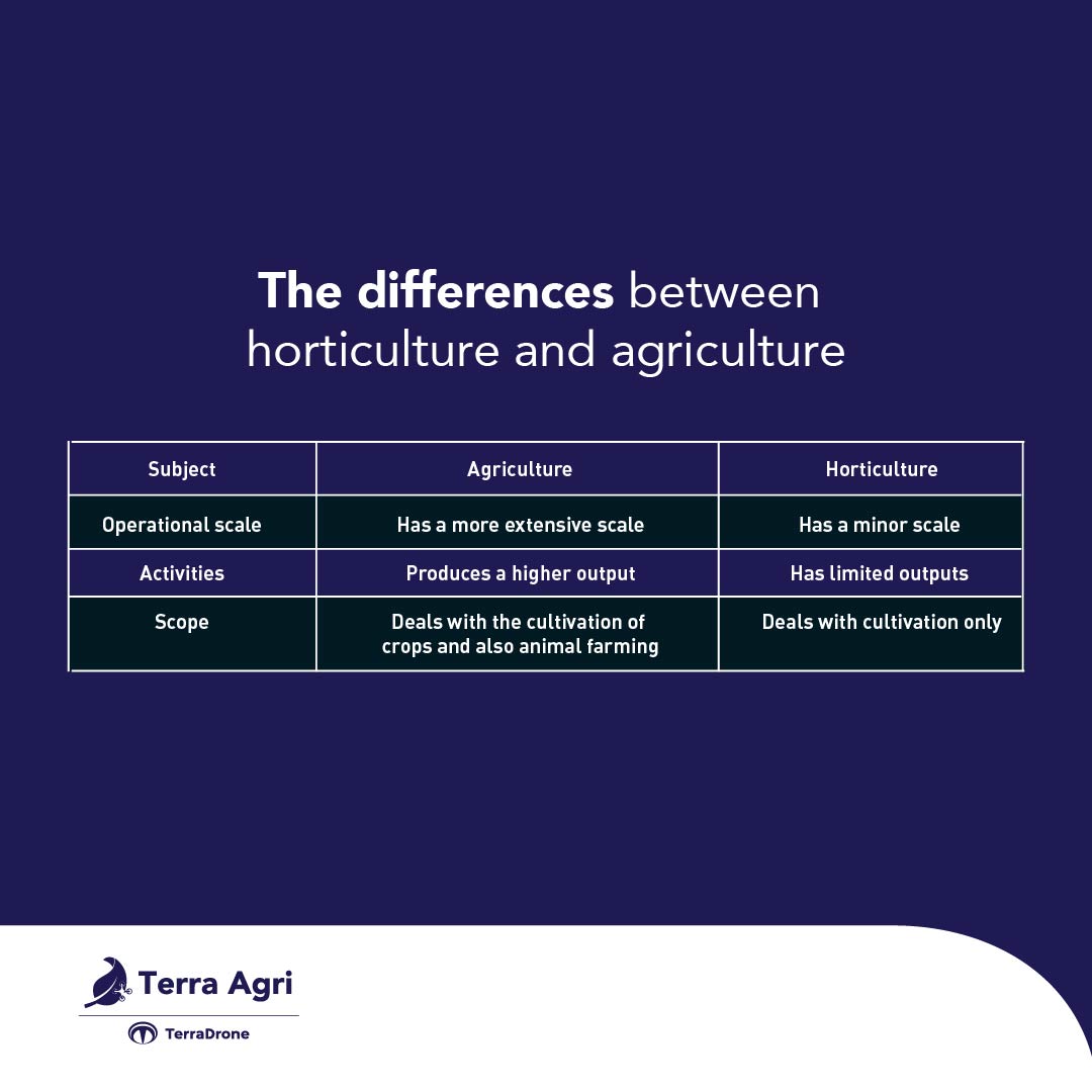 6 Points Difference Between Horticulture and Agriculture - Terra Drone Agri