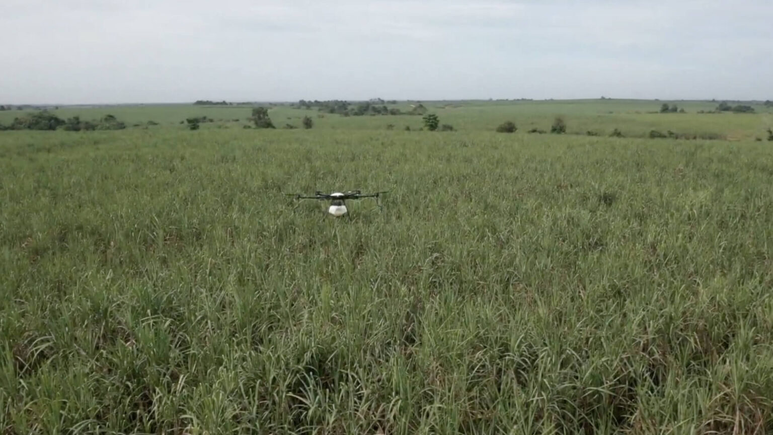 Ultimate Agriculture Drone Spraying Guide for Agribusiness - Terra ...