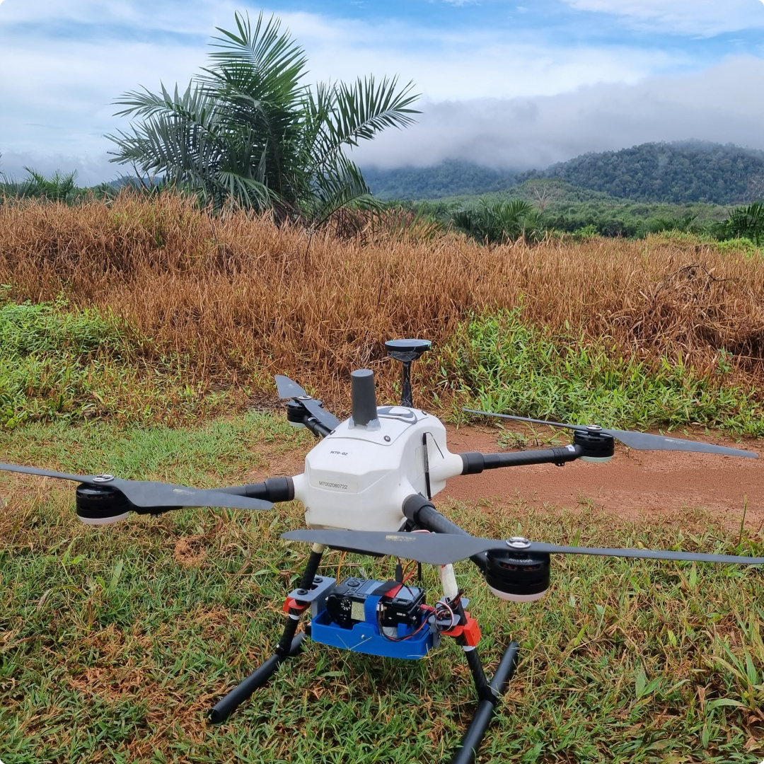How Agriculture Drones Aid Timber Industry Sustainability Process ...